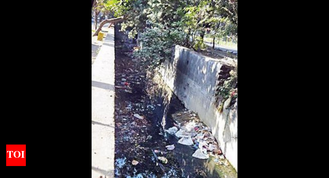 Residents Of Sec 50, Other Parts Flag Open Drains, Seek Covers | Noida ...