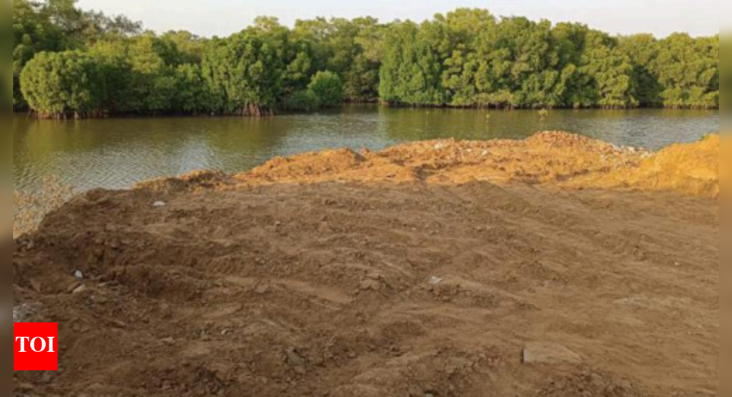Rane cracks the whip after Merces mangrove filled for garbage site ...