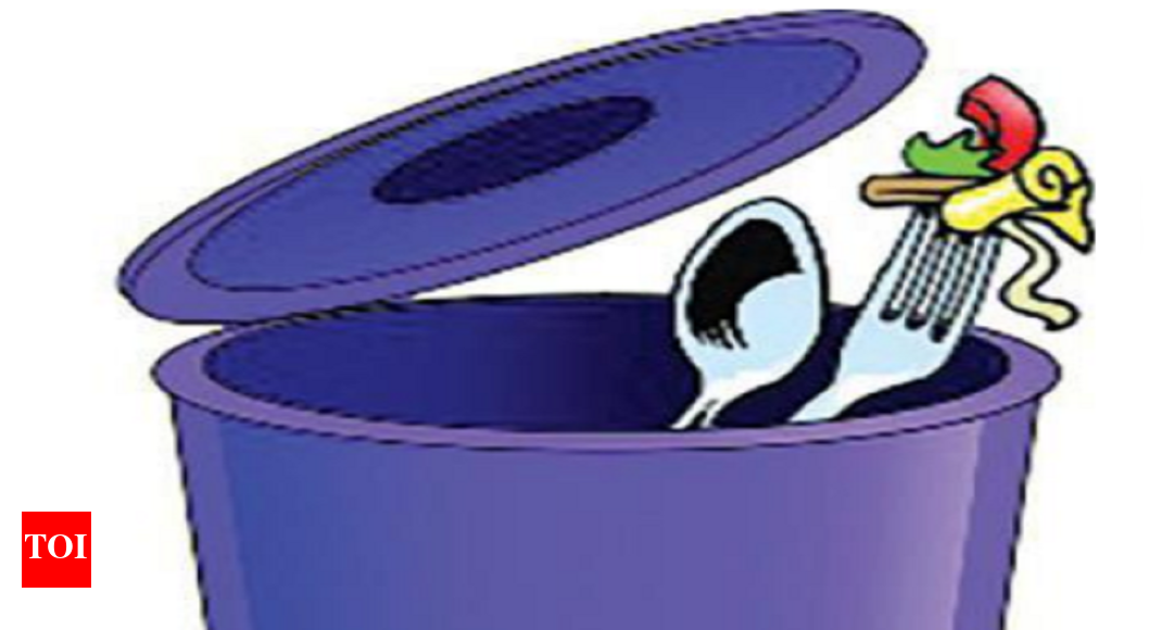 Goa govt moots fines for unsegregated waste | Goa News - Times of India