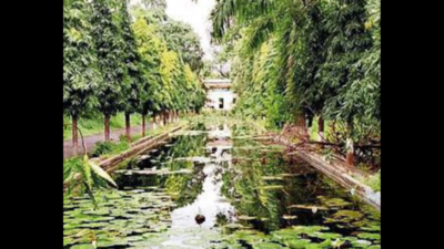 Himayat Bagh: Himayat Bagh Measurement Hits 7/12 Extract Hurdle; Hc For ...