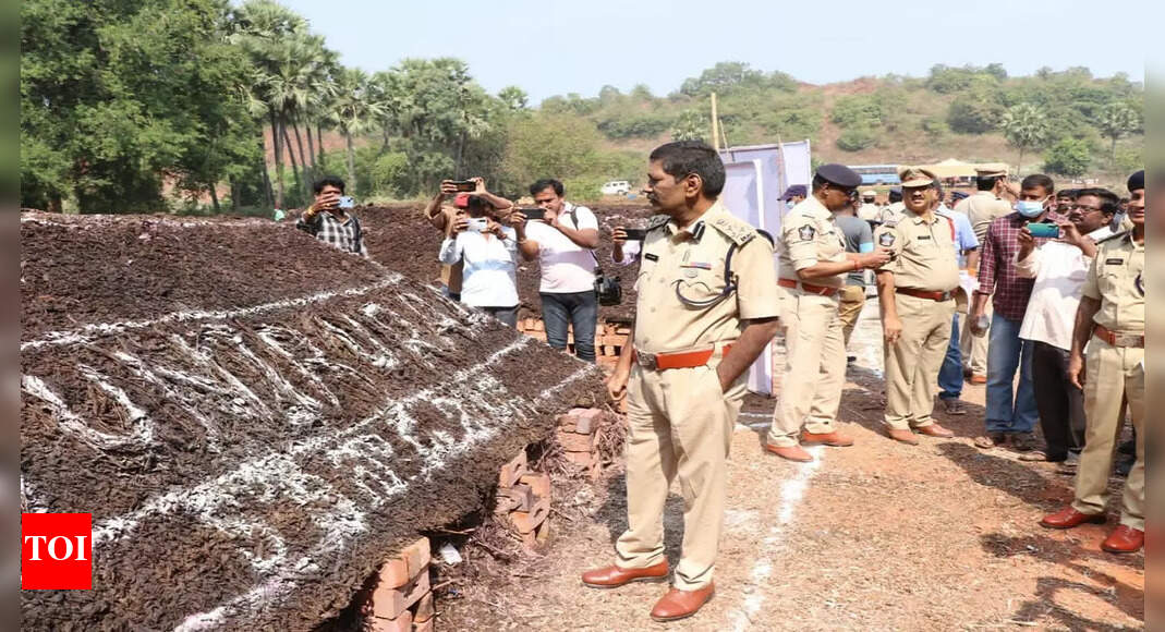 Andhra Pradesh police to destroy 2.45 lakh kg dry ganja in next 3 days | Visakhapatnam News ...