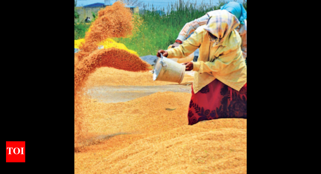 Paddy Purchase At Slow Pace, Farmers Resort To Distress Sale ...