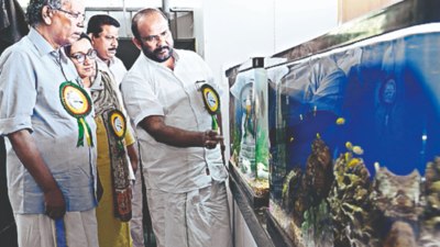 Kavil: Kavil Aqua Show 2022 Begins | Kochi News - Times of India