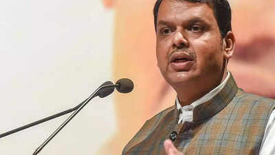 Maharashtra Karntaka Border Row: Maharashtra will fight even for an inch of land, says Dy CM ...