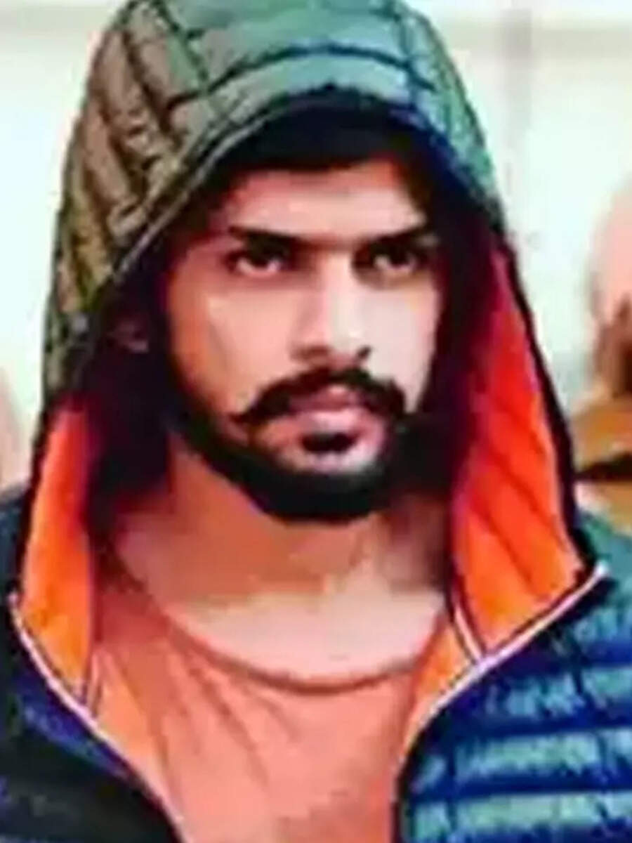 Lawrence Bishnoi: The making of a gangster | Times of India