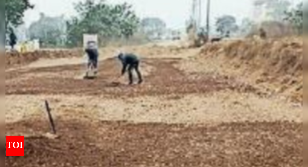 Work on second link road to New Chandigarh starts | Chandigarh News ...