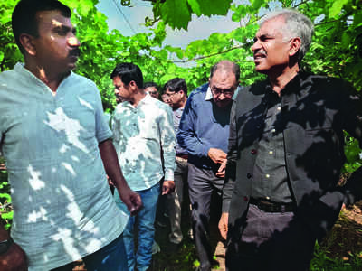 New Storage Units Planned For Onions To Cut Losses | Nashik News - Times of India
