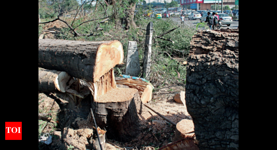 Palike: Bruhat Bengaluru Mahanagara Palike OKs axing of 268 trees for ...