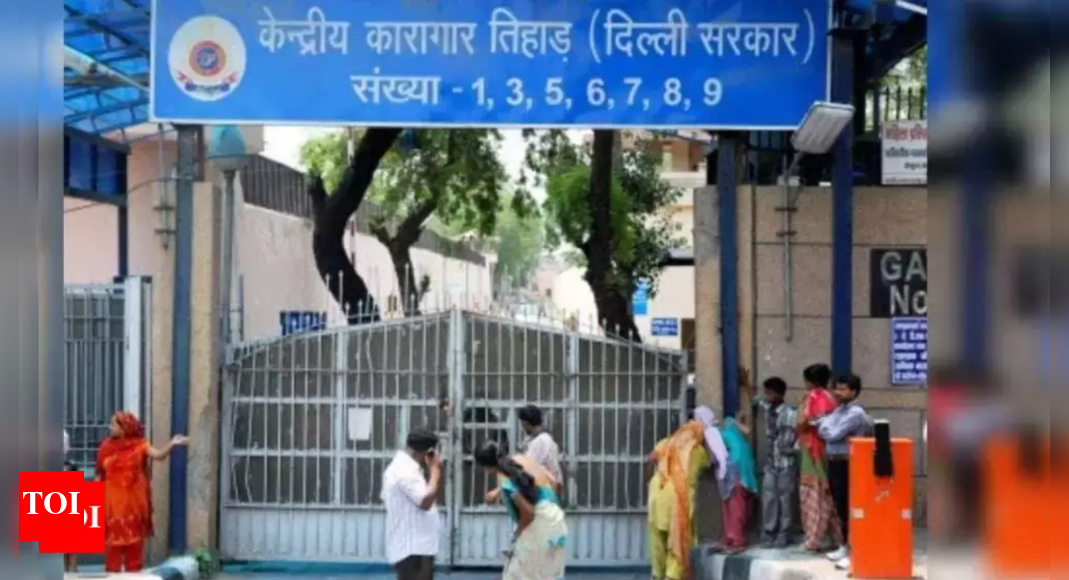 From clashes to torture, Delhi's Tihar Jail sees a new low | Delhi News ...
