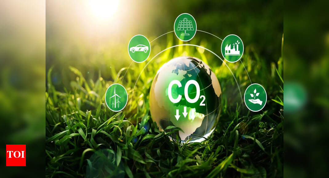 The Healthcare Sector Needs to Lead the way on Decarbonization - Times ...