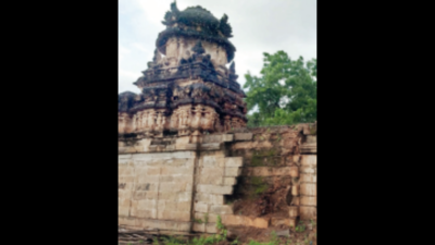 There is more about pandyas | Chennai News - Times of India