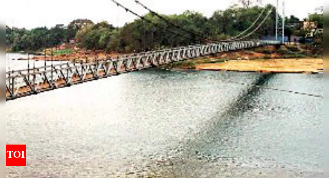 Odisha govt seeks IWAI approval for concrete bridge to Cuttack shrine ...