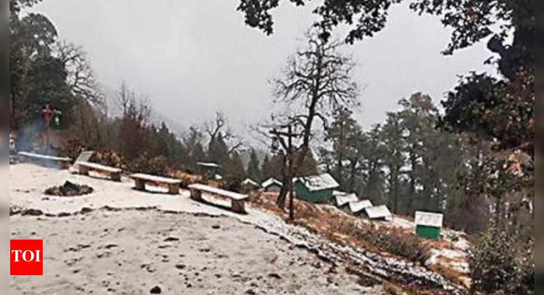 Kedarnath, higher reaches get season's first spell of snowfall ...