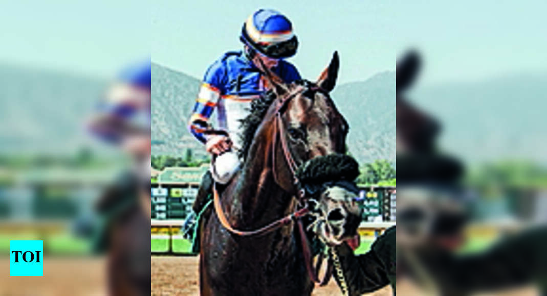 Huntingdon: Huntingdon And Ayr Impressive | Hyderabad News - Times of India