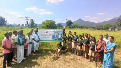 Isha Foundation plants 1.5 lakh timber trees across Tamil Nadu ...
