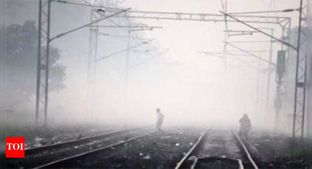 Fog Hits Flights, Train Services | Lucknow News - Times of India