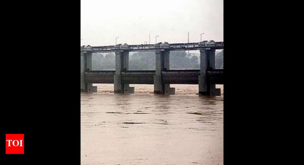 Vasna: Man Drowns While Immersing Flowers At Vasna Barrage | Ahmedabad ...
