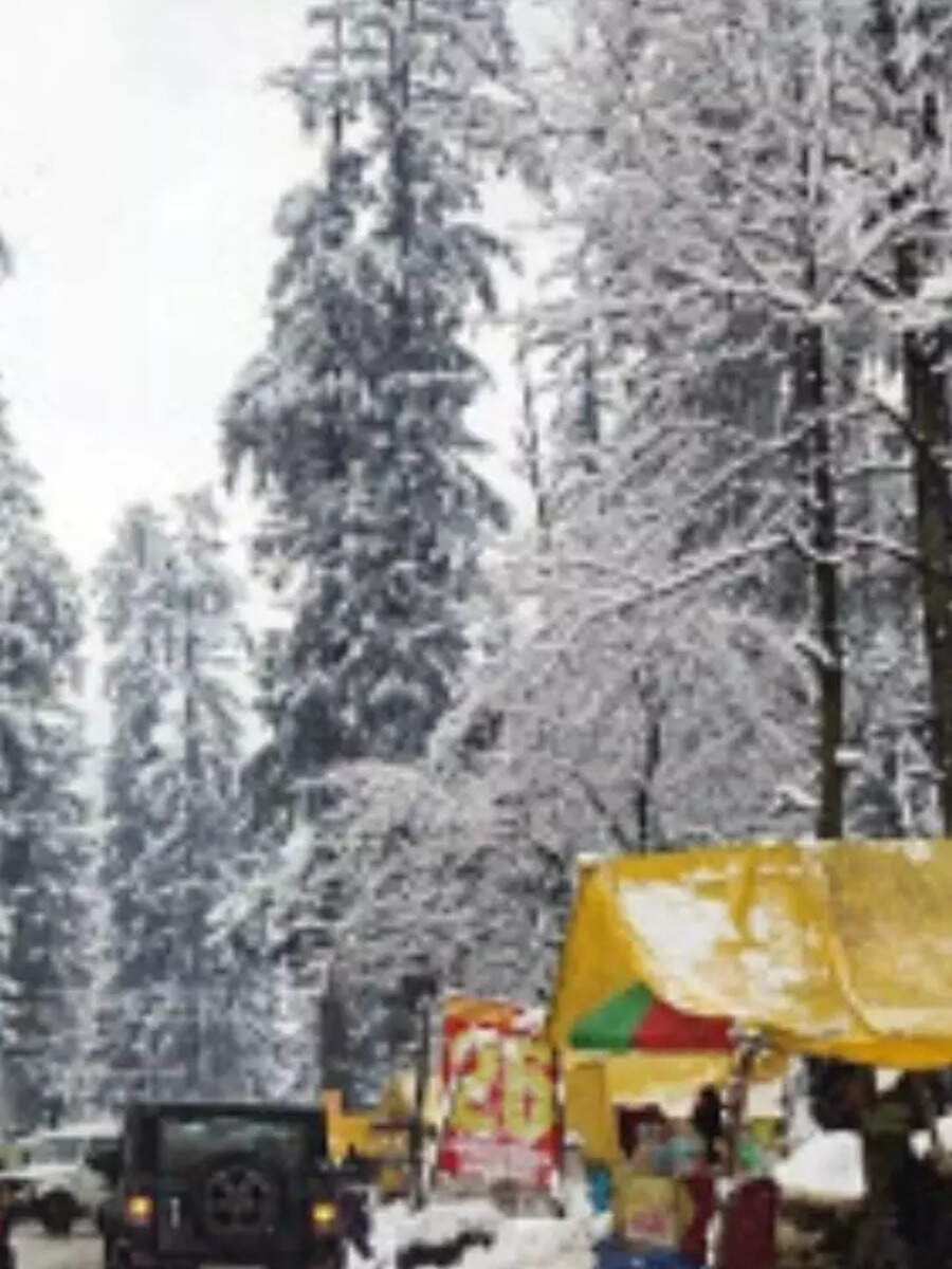 Snowfall brings cheer to tourists in Himachal, J&K | Times of India
