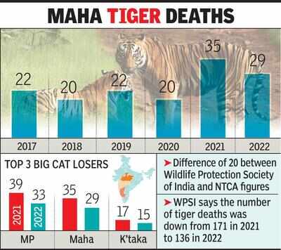 Tiger deaths down from 127 to 116 in 2022 | Nagpur News - Times of India