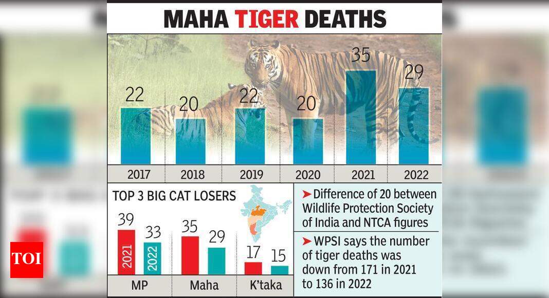 Tiger deaths down from 127 to 116 in 2022 | Nagpur News - Times of India