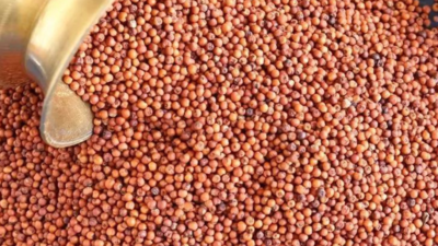 Centre nod to procure mandua, Uttarakhand's indigenous grain | Dehradun ...