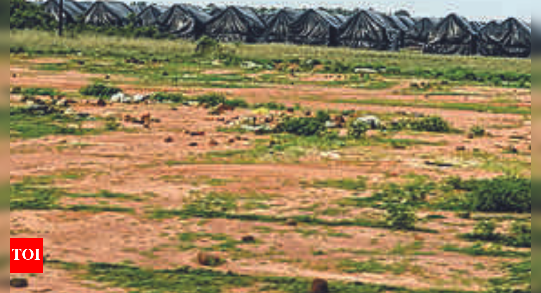 Parandur: Date extended for bids to identify consultant | Chennai News ...