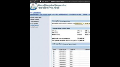 Bmc: Bmc Gateway Crashes, Offline For Two Days | Bhopal News - Times of ...