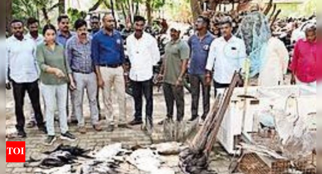 Tamil Nadu: Forest officials seize carcasses of wild birds, animals ...