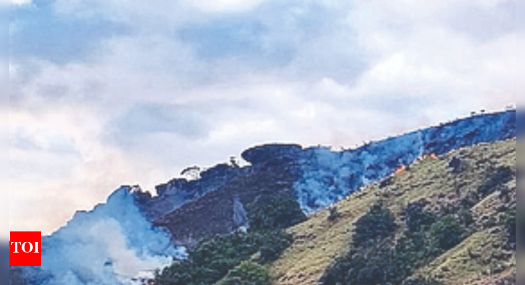 Charmadi Ghat: Forest Fire In Charmadi Ghat Has Greens Worried ...