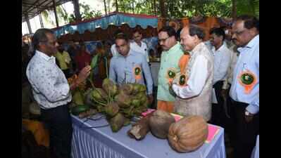 Will build 5 bandharas and 20 wells in Quepem, Sanguem: WRD minister ...