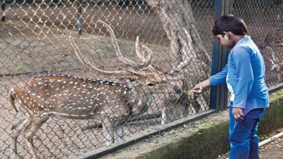 Visitors throng zoo, children's park in Tamil Nadu | Chennai News ...