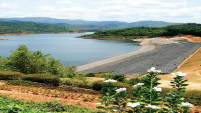 Tillari: Partial water resumption from Tillari likely from January 6 ...