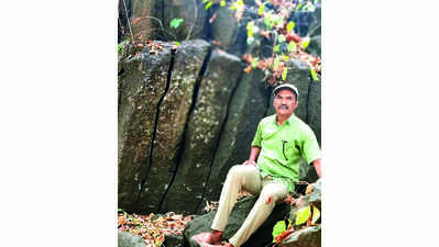 6.5 Mn-year-old Basalt Columns Found In Nirmal | Hyderabad News - Times ...