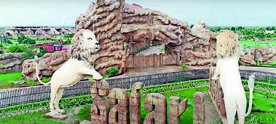 Safari: Lion Segment Of Etawah Safari Opens For Visitors With Release ...