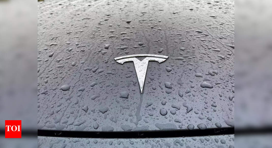 Tesla: Tesla in pole position in Norway's race to EV goal - Times of India