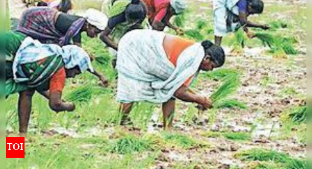 M K Stalin: Cm Urged To Consult Farmers Ahead Of Agriculture Budget ...