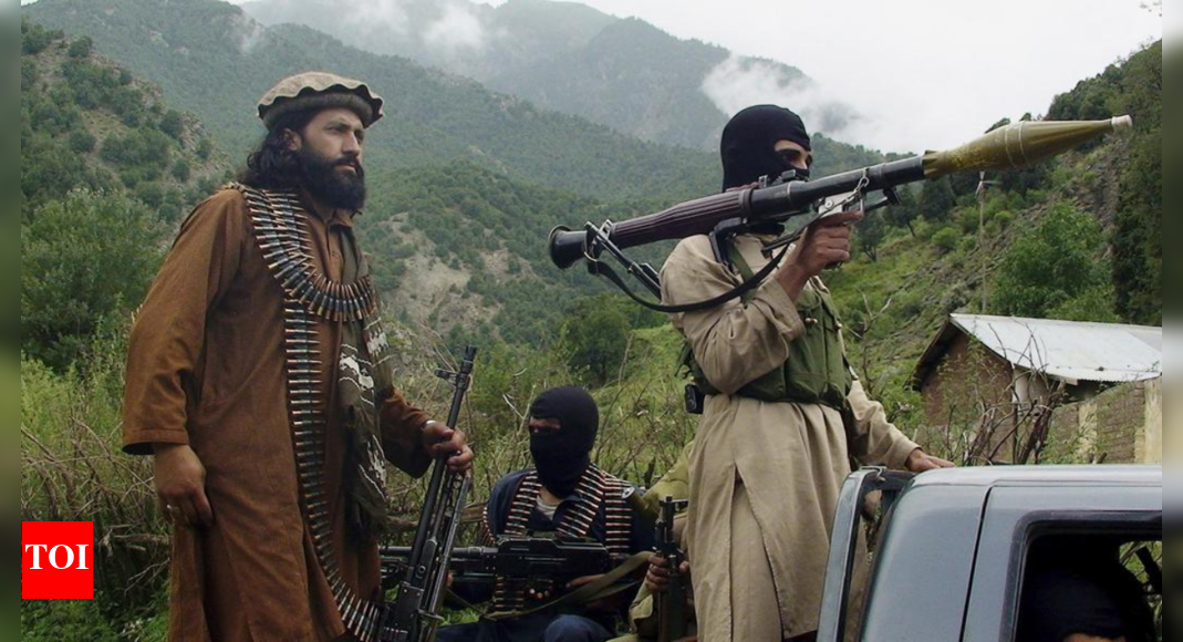 Pakistani Taliban threatens to target top leaders of PML-N and PPP ...