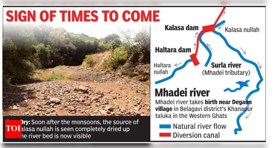 Karnataka diversion dries up Kalasa at source, Mhadei’s Goa flow dips ...