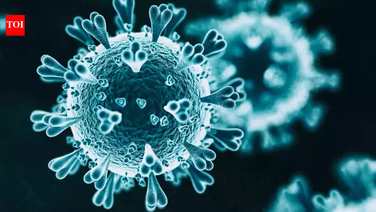 BF 7 Coronavirus Variant Cases in India: Four US returnees to Bengal ...