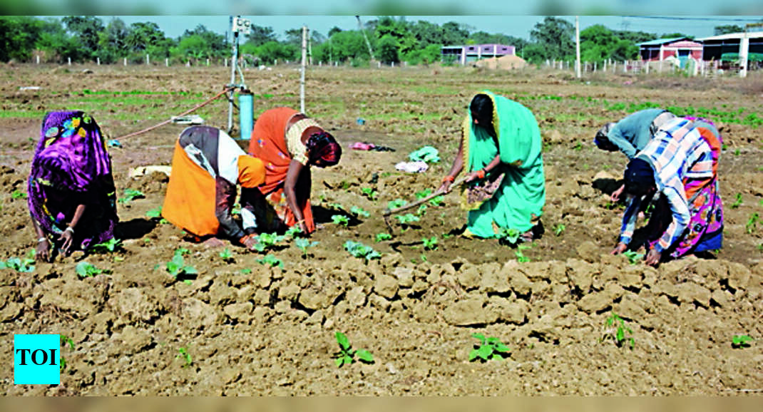 Multi-activity Gauthan Paving Way To Financial Empowerment Of Rural ...