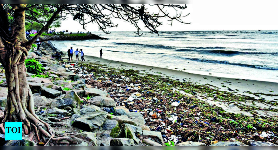 Kochi: Corp To Submit Detailed Plan To Restore Fort Kochi Beach | Kochi ...