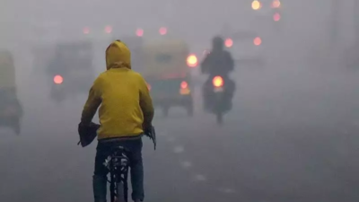 Delhi Weather Today: Delhi logs season's lowest temperature of 3 degree Celsius | Delhi News ...