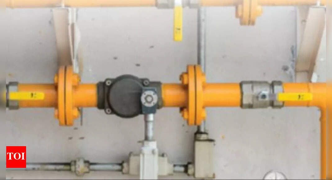 Png: Most Of City Households To Get Png In 3-4 Years: Torrent Gas ...