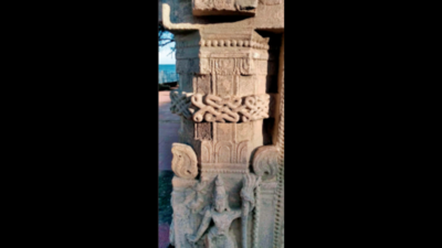 There is more about pandyas | Ludhiana News - Times of India