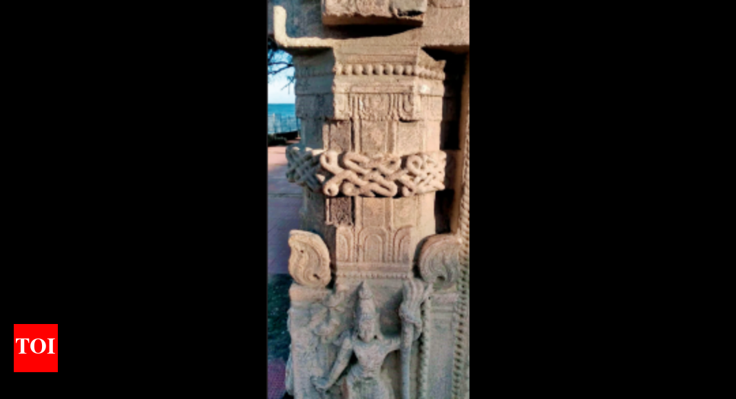 There is more about pandyas | Ludhiana News - Times of India