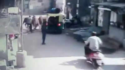 7 students injured as bulls fighting on road hit auto-rickshaw in ...