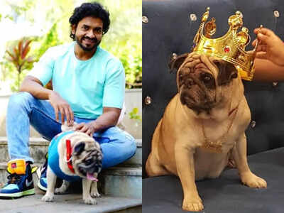 Former Bigg Boss Marathi contestant Utkarsh Shinde's canine friend ...
