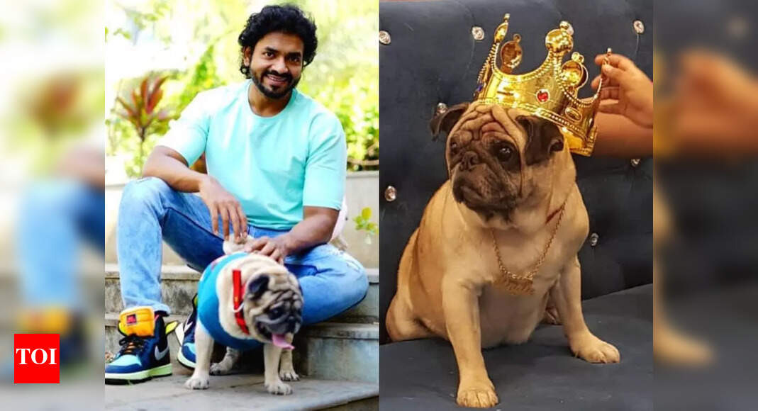 Former Bigg Boss Marathi contestant Utkarsh Shinde's canine friend ...