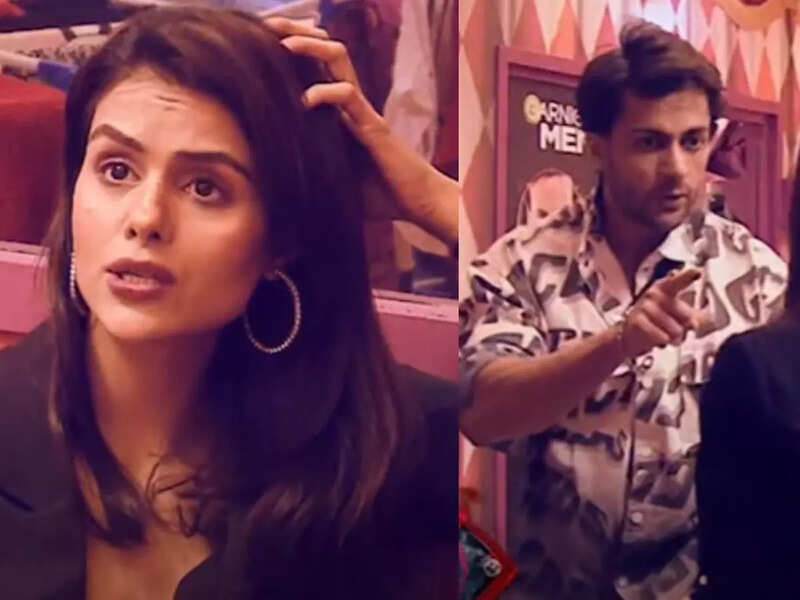 Bigg Boss 16: Shalin Bhanot and Priyanka Chahar Choudhary get into a ...