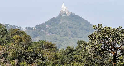 Jain: After Jain stir, Centre halts all tourism activities at Parasnath ...